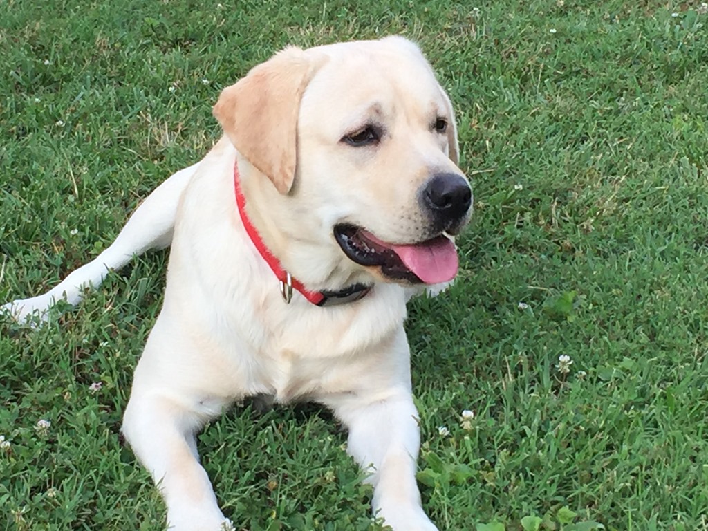 A Plea For Reason | Oilpressure